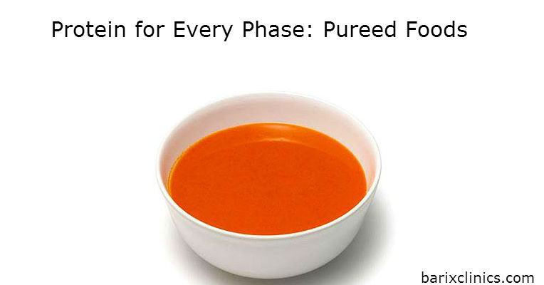 Protein Options for the Pureed Phase | Barix